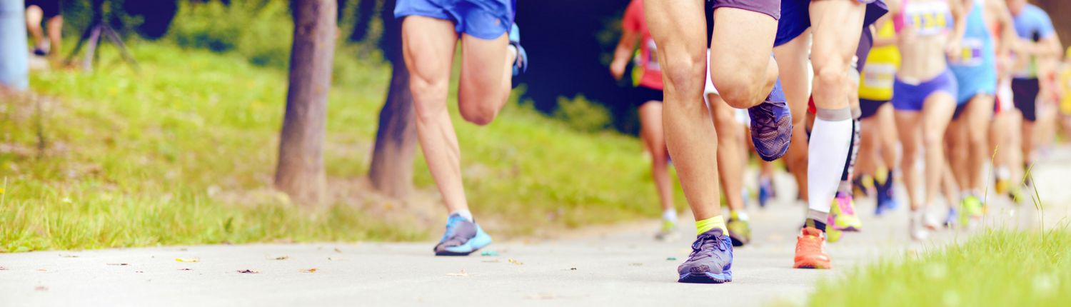 Run for Animals 5K Race – Danbury Animal Welfare Society